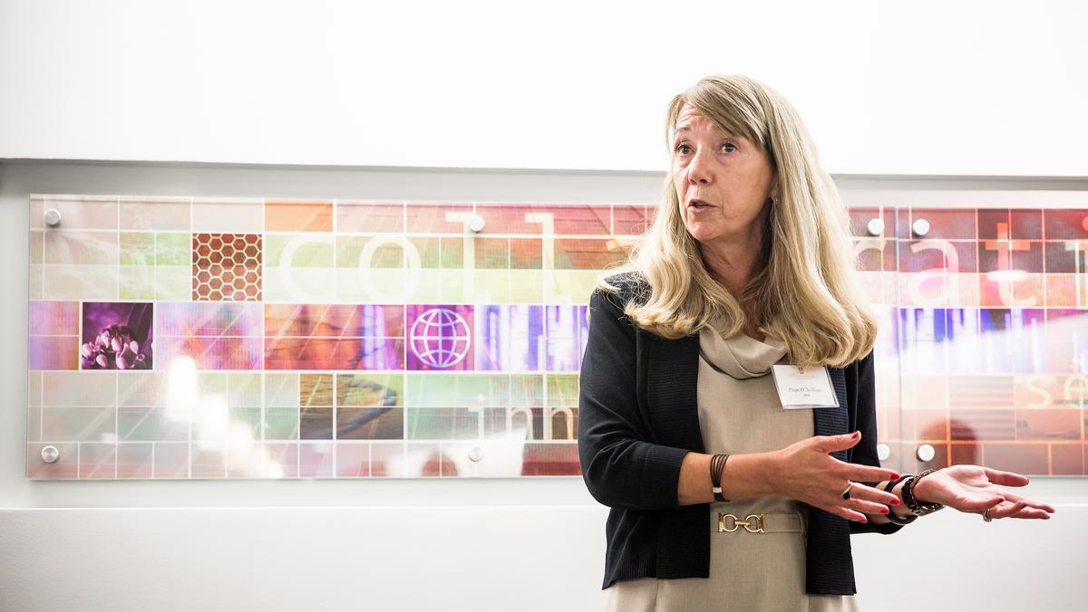 Why the Workday cloud deal is good for IBM in Research Triangle Park ...