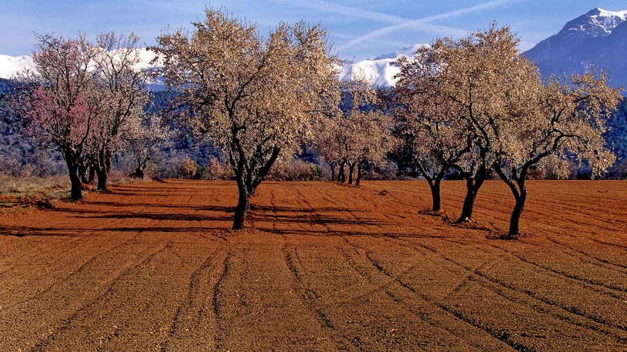 Conservis raises $9.5M for farm-management tech - Minneapolis / St ...