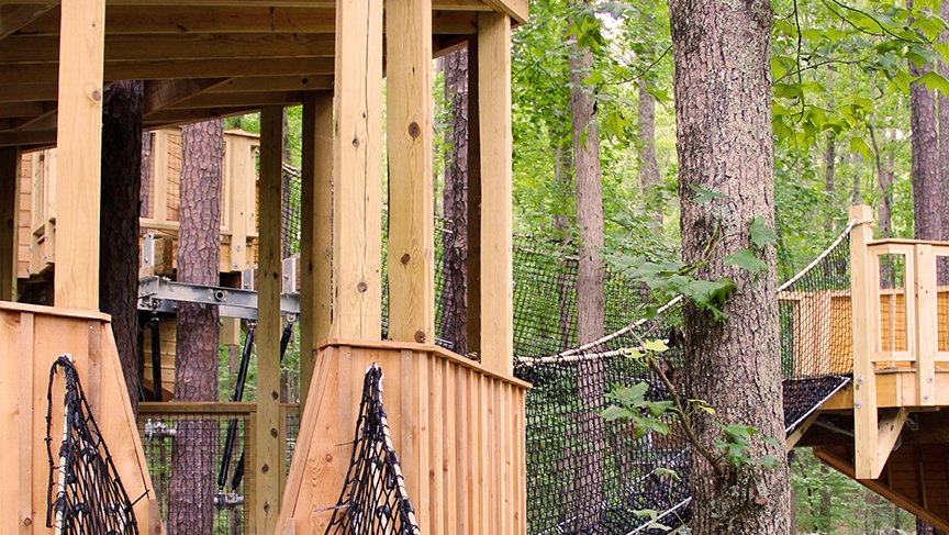 Museum of Life and Science in Durham sets opening for first phase of ...