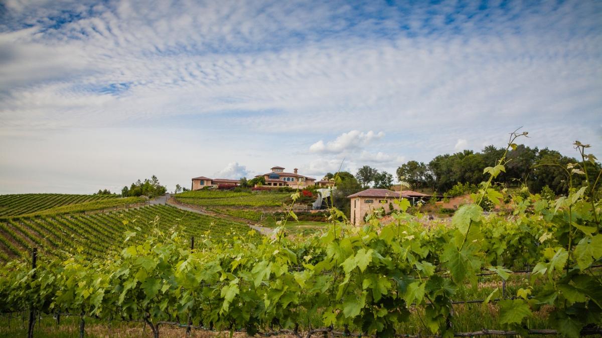Wise Villa Winery, Burning Barrel Brewing Co. and Marshall Medical ...