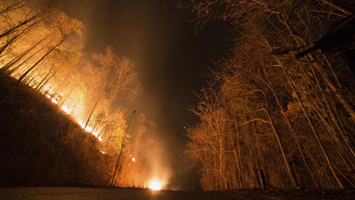 Friday cheat sheet: Fire update; endangered species could derail Mather ...