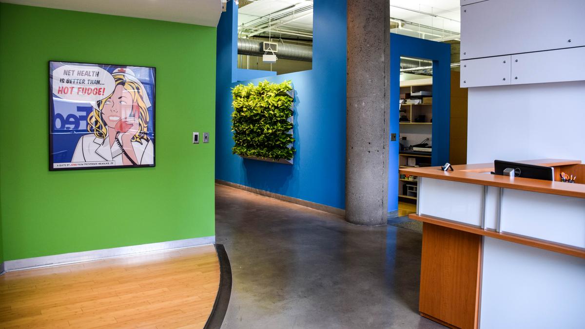 Net Health is launching a new telehealth video conferencing program for ...