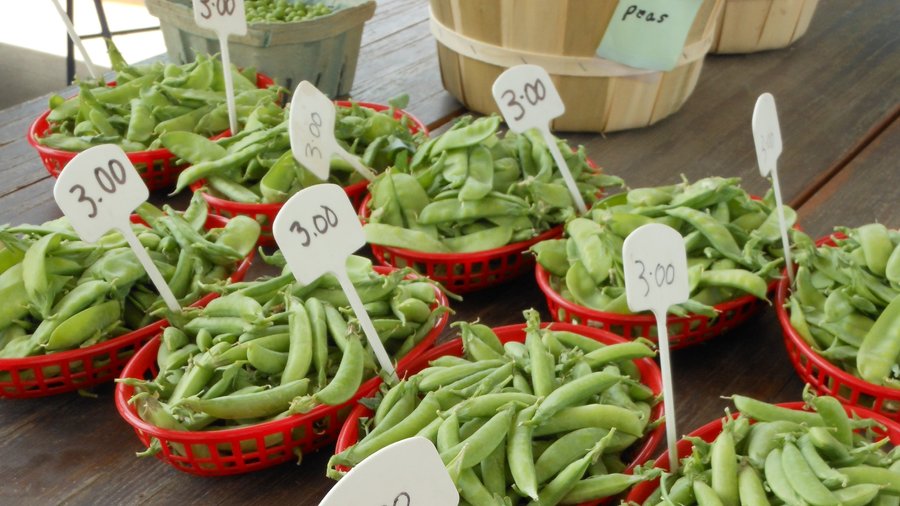 Fondy Food Center launches crowdfunding campaign