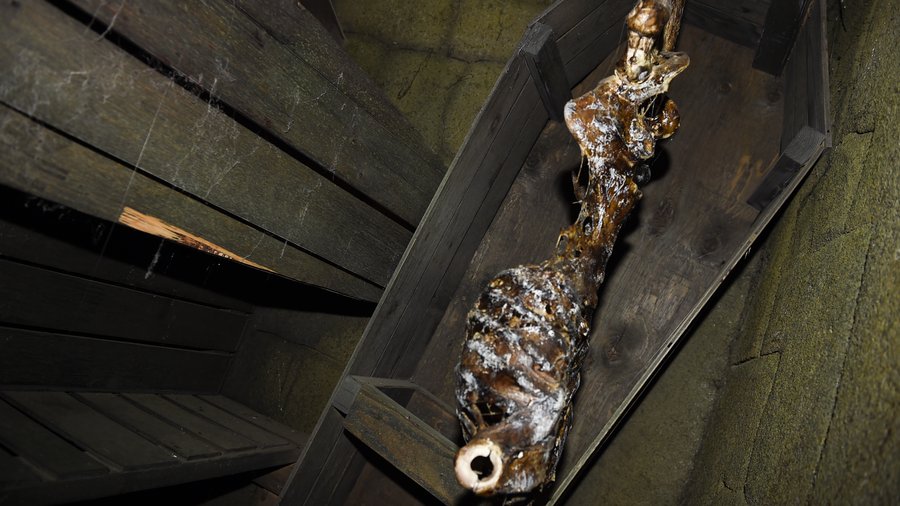 Denver's 13th Floor Haunted House is one of the nation's top 5 haunted ...