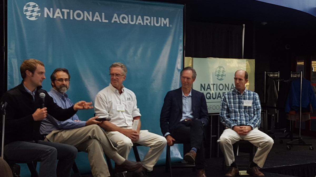 National Aquarium hosts seafood forum to bridge gaps between watermen ...