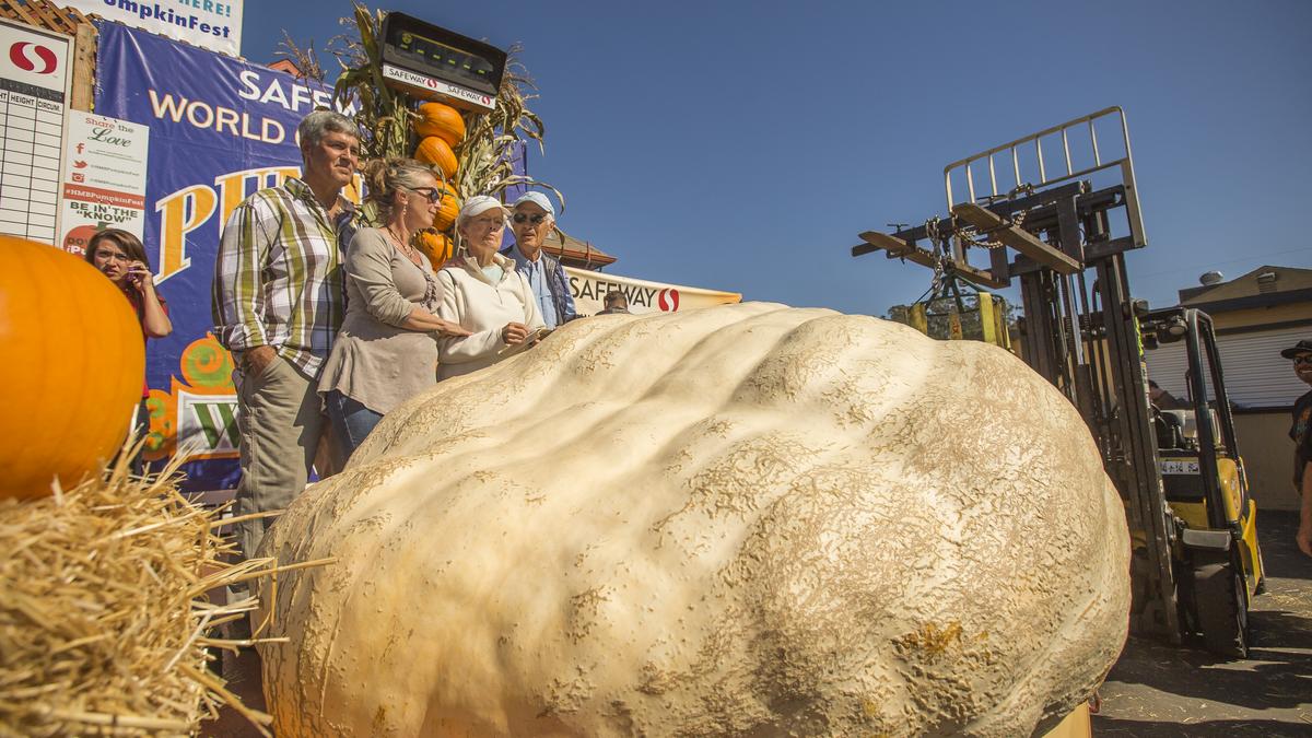 Half Moon Bay pumpkin festival draws crowds for Safeway World ...