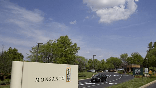 Monsanto faces man dying of cancer in Roundup trial - St. Louis ...
