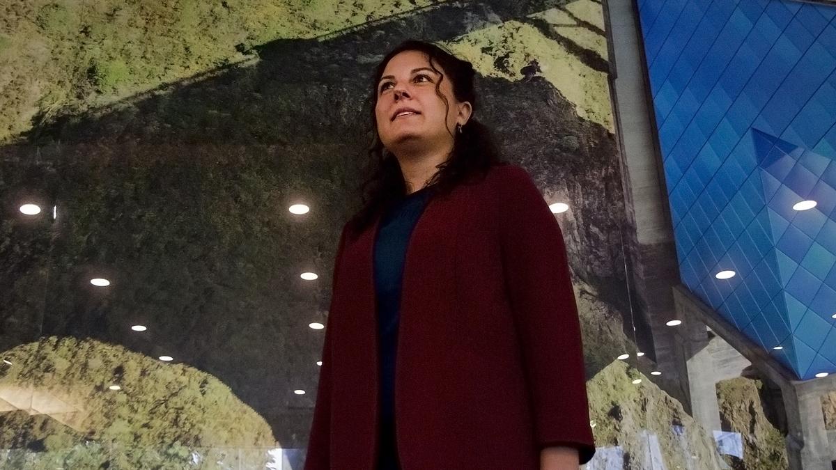 Netapp workers get pink slips at RTP campus - Triangle Business Journal