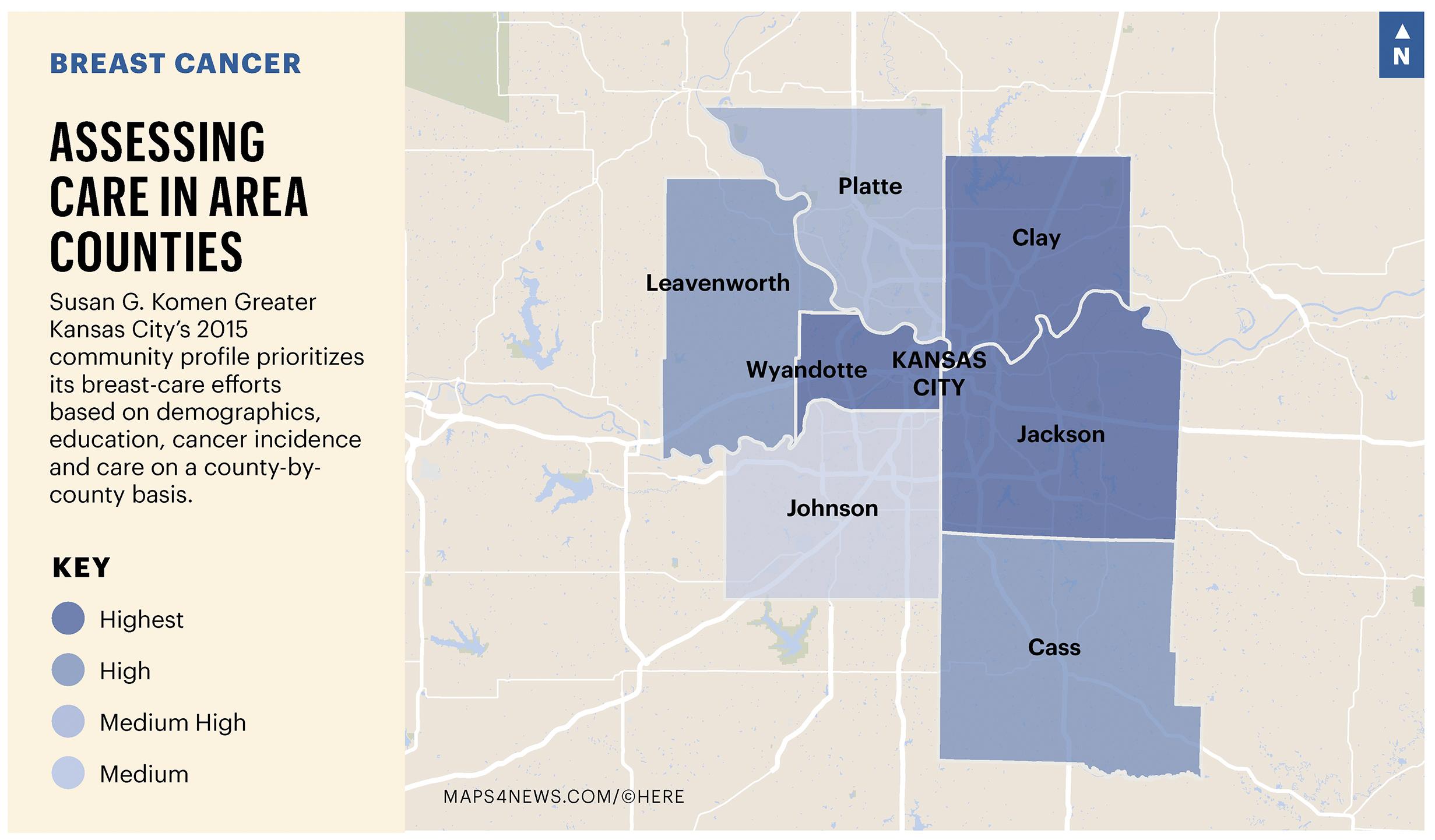 Susan G. Komen Greater Kansas City sets targets in cancer fight ...