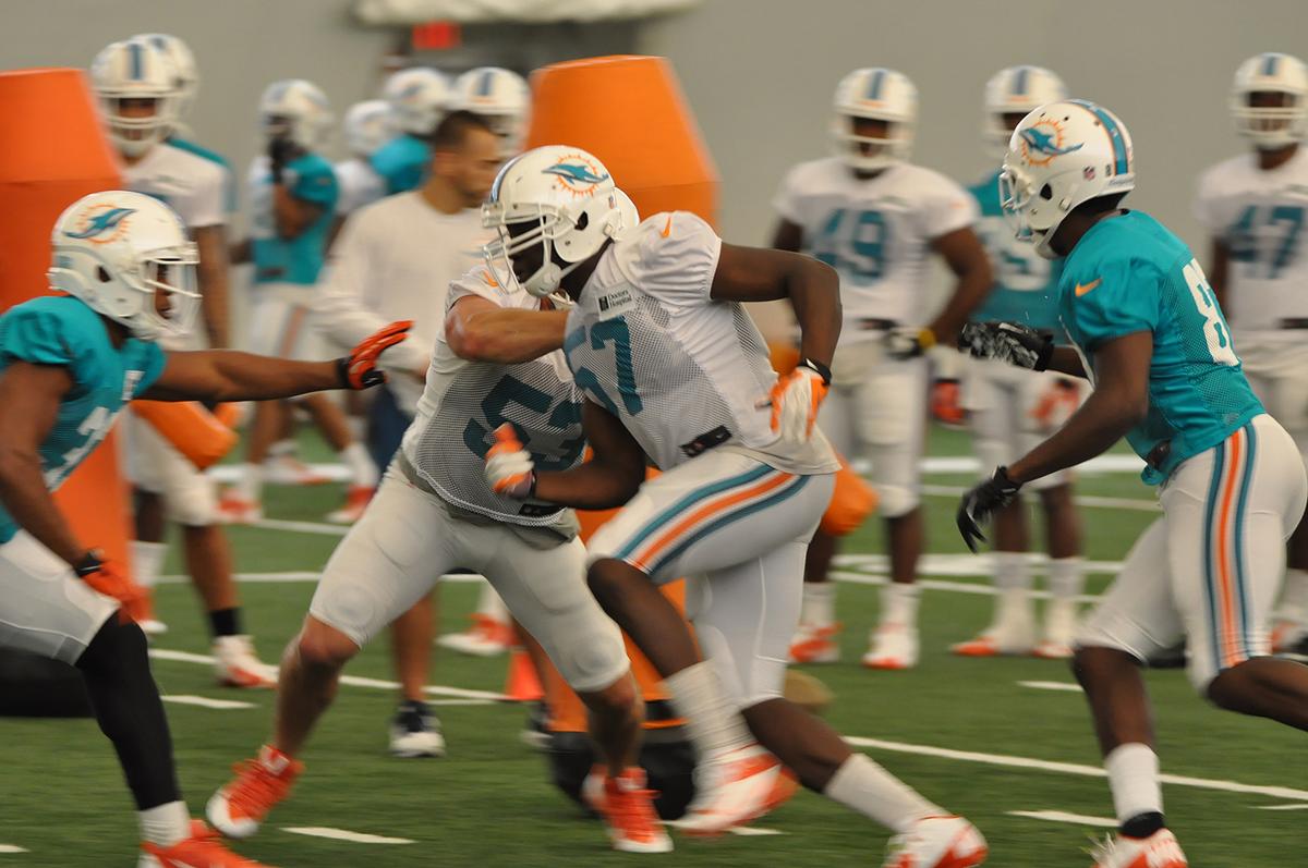 Miami Dolphins' practices intensify as the pads go on - South Florida ...