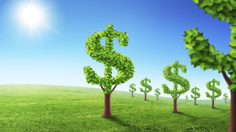 Brian Friedman share three tips on raising seed rounds - The Business ...