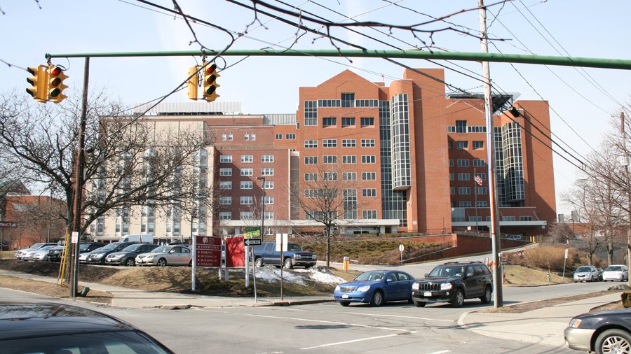 2008 Albany Medical Center.