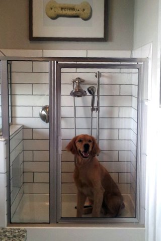 TollBrothersDogShower