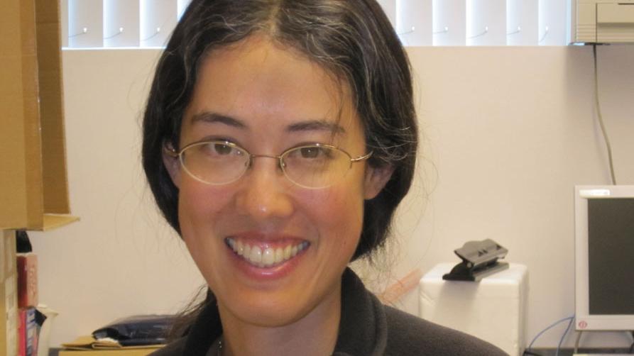 UMass researchers achieve several ‘firsts’ in new use for CRISPR/Cas9 ...