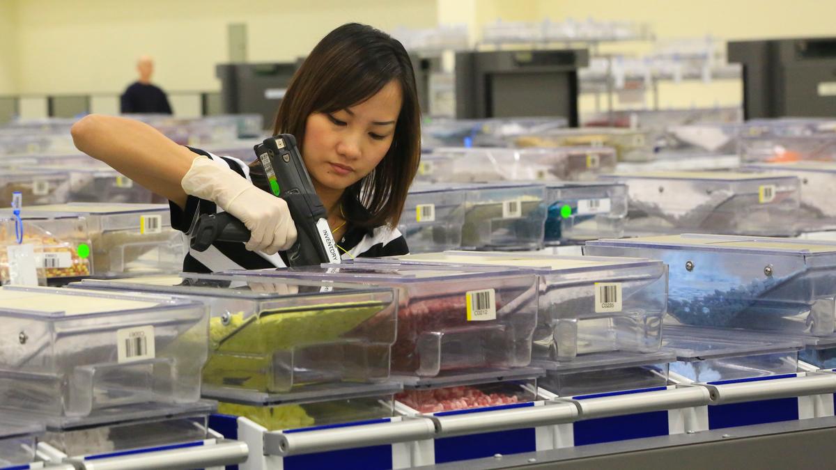 Humana to hire 50 pharmacy tech positions at Phoenix operations ...