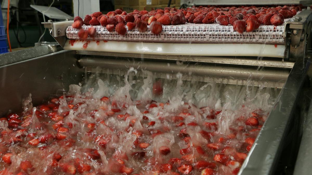 Cover Story: How Oregon Fruit thinks outside the can - Portland ...