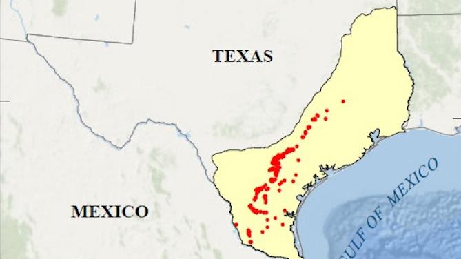 New deposits of uranium found in South Texas but low prices remain a ...