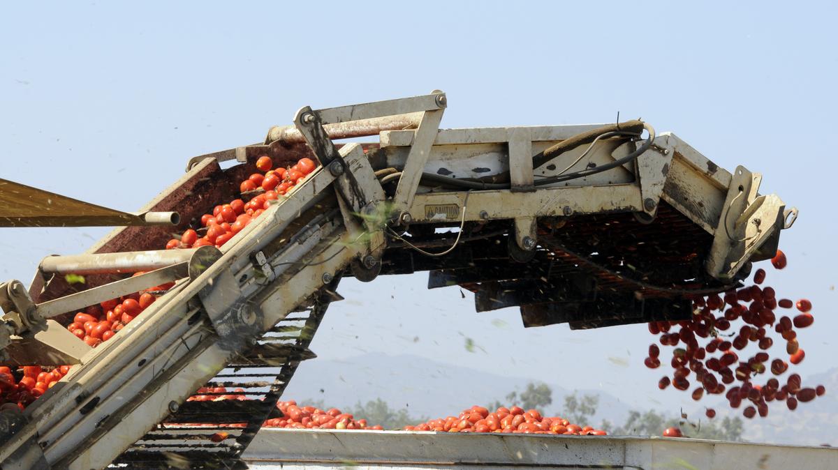 USDA releases details on CFAP Covid-19 program - Sacramento Business ...