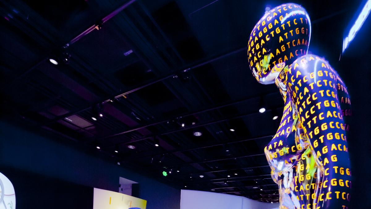 Medical College to sponsor Smithsonian's human genome exhibit at ...