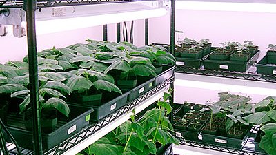 Davis-based Marrone Bio Innovations has already closed its initial ...