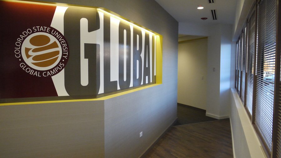 Colorado State University Global adds online degrees in these high ...
