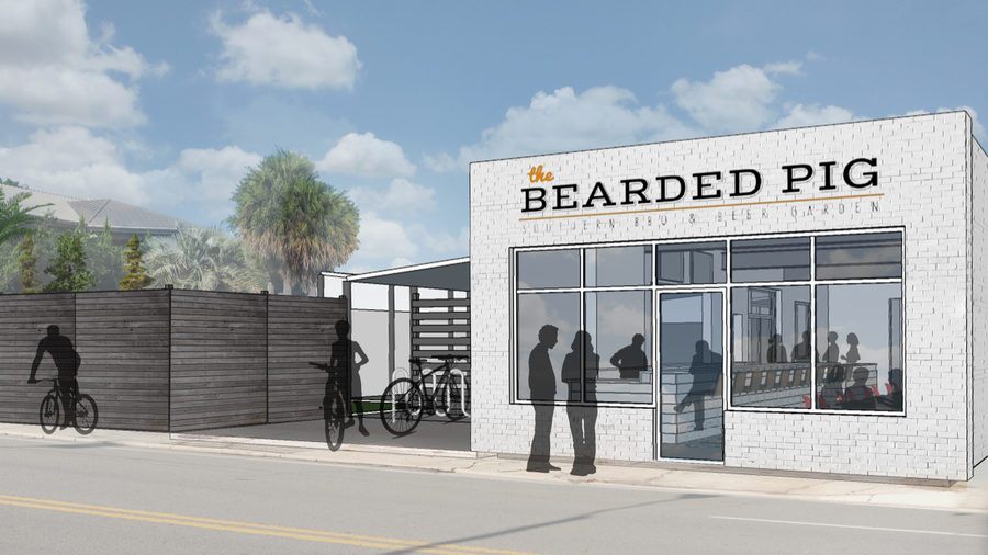 The Bearded Pig