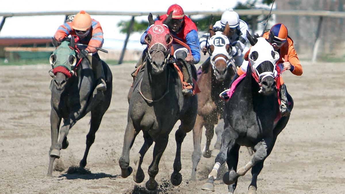 Lawmaker thinks horse racing can spur economy in rural Georgia ...