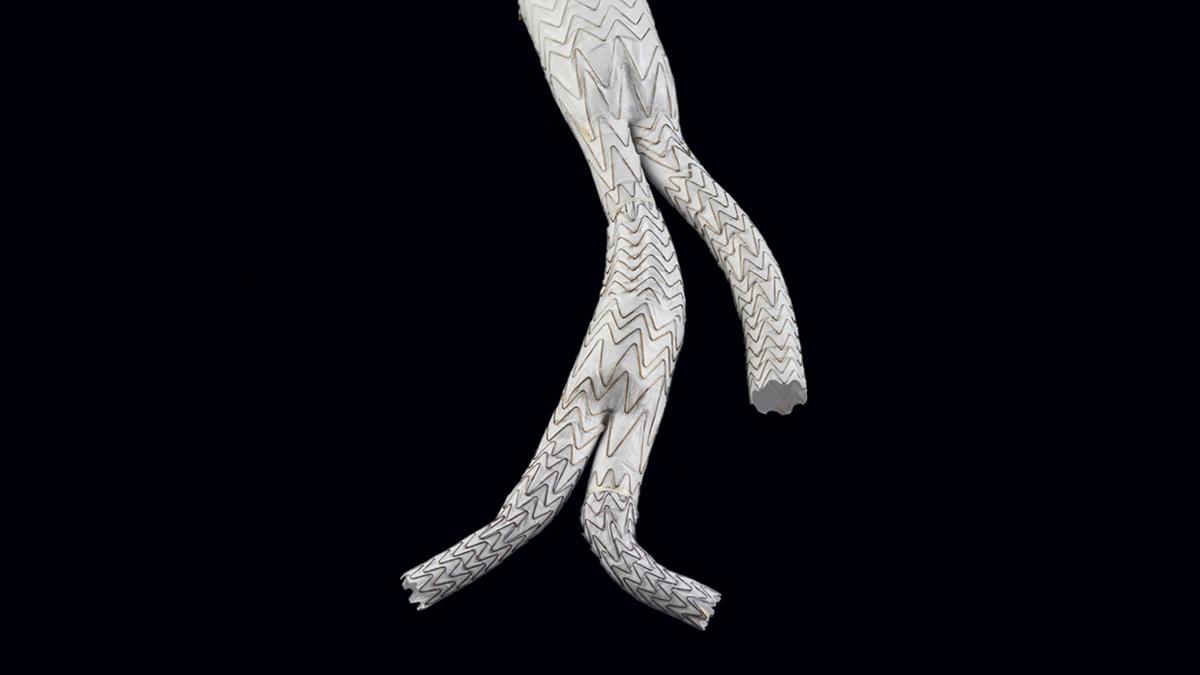 FDA device approval means business expansion for WL Gore & Associates ...