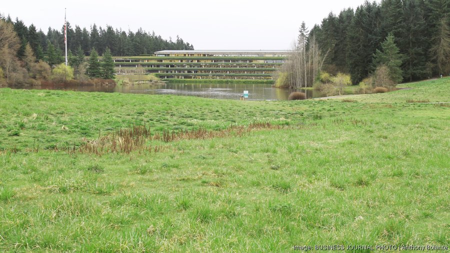 Federal Way mulls development moratorium after Weyerhaeuser campus deal ...