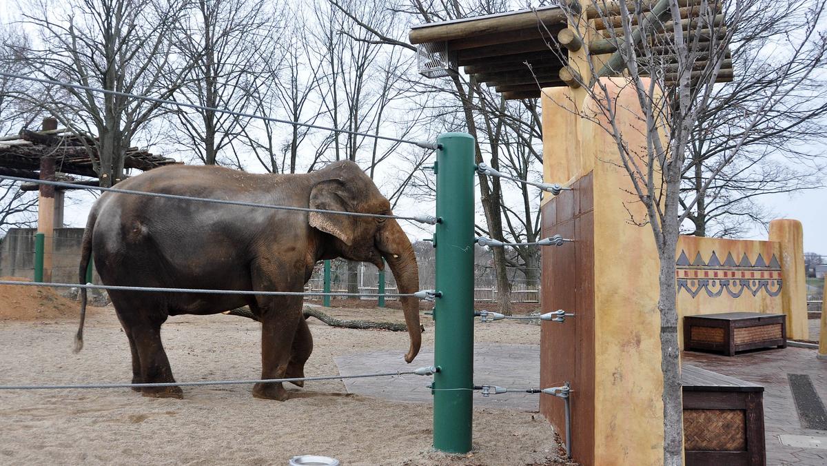 $2 million gift from Harry Frazier family will help Louisville Zoo ...