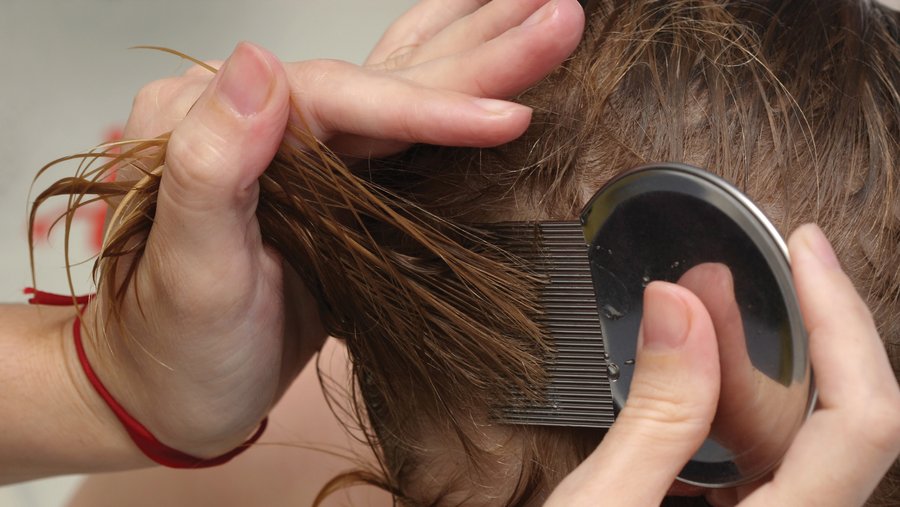 From fleas to lice: A chat with a Piedmont Pharmaceuticals exec about ...