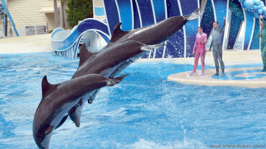 Seaworld’s brave new future: How the theme park still may make a splash ...