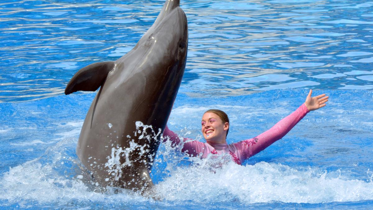 Orlando-based SeaWorld Entertainment (NYSE: SEAS) starts off 2018 with ...