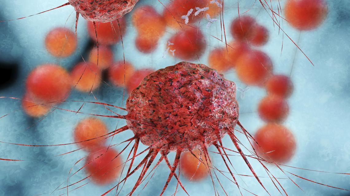 Houston Inno - Kiromic BioPharma completes expansion of manufacturing ...