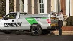 Across the pond, Terminix UK launches social distancing friendly pest ...