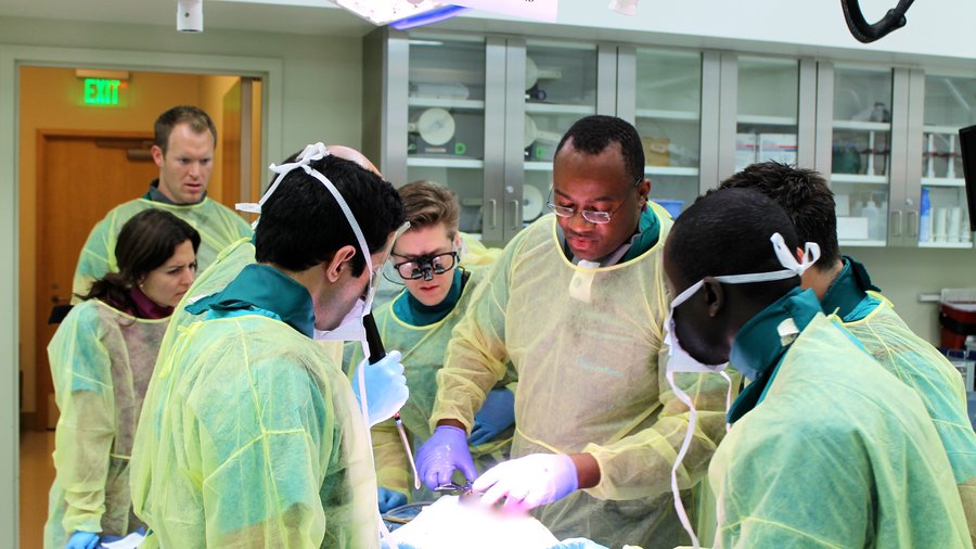 Seattle Science Foundation cuts red tape out of medical research ...