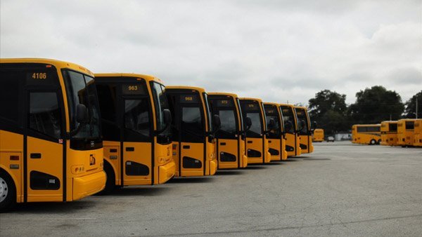 Orlando's Mears Transportation lays off dozens of workers at multiple ...