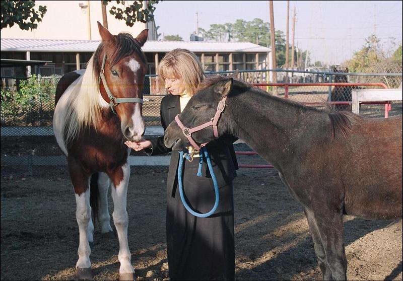 Women Who Mean Business Finalists - Bizwomen