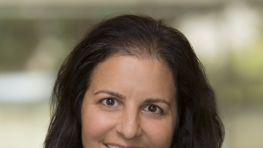 Maria Ansari