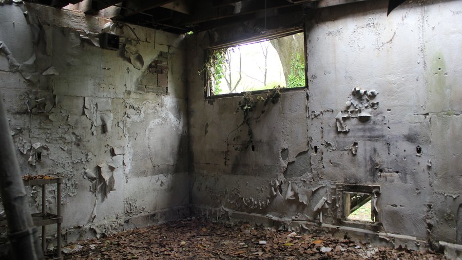 William “Billy” Orgel and his son, Benjamin Orgel, saw something ...