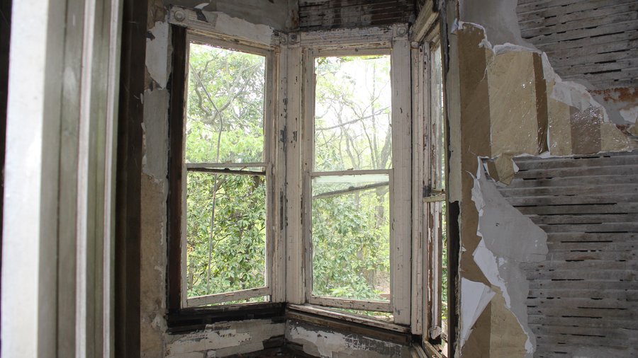 William “Billy” Orgel and his son, Benjamin Orgel, saw something ...