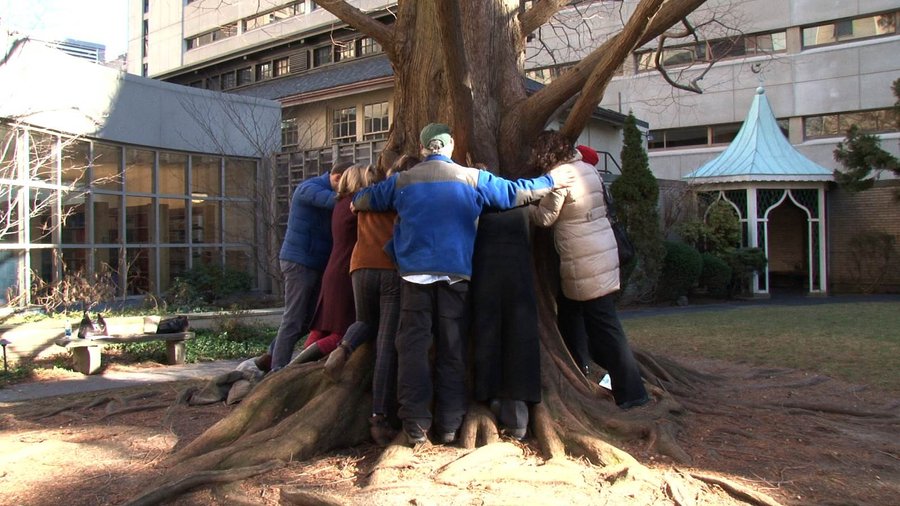 Prouty Garden supporters file lawsuit to halt Boston Children's ...