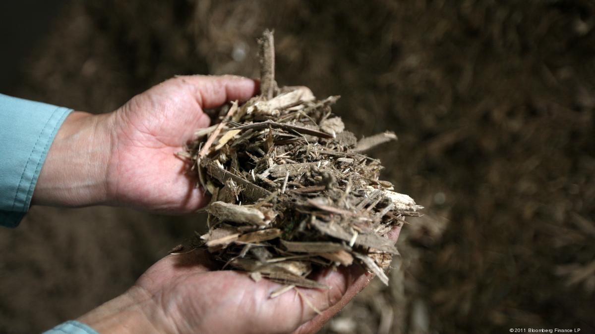 Greenleaf Power secures $100M in financing to acquire more biomass ...