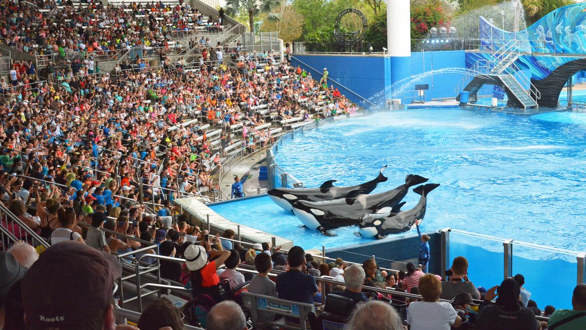 Seaworld’s brave new future: How the theme park still may make a splash ...