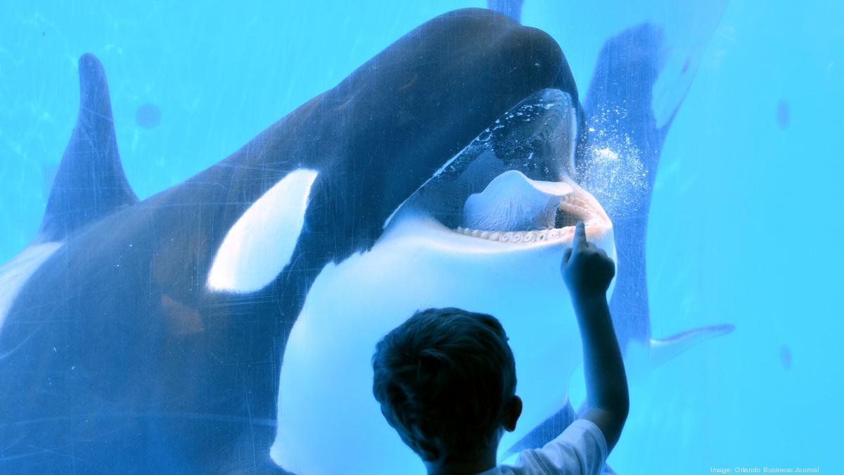 SeaWorld Entertainment has a vacancy on its leadership team — All the ...