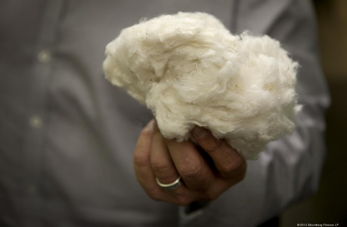 USDA announces Cotton Board appointments - Memphis Business Journal