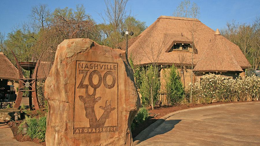Nashville Zoo's New Attractions 2016 - Nashville Business Journal