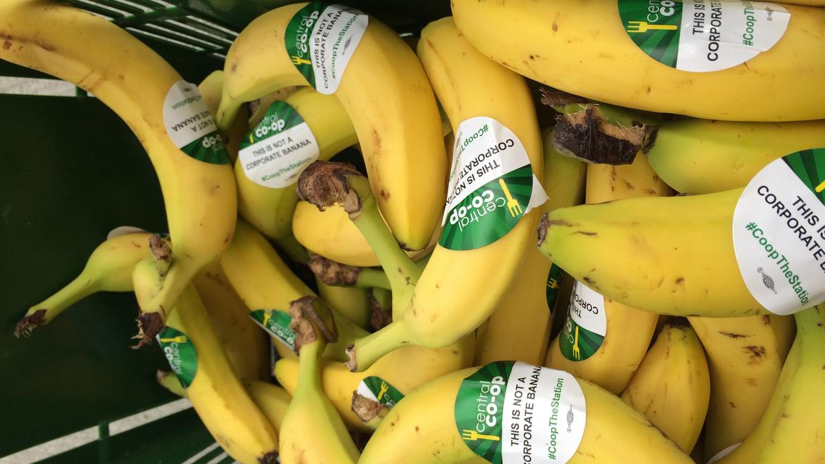 'This is not a corporate banana:' Central Co-op's 'gorilla-style ...