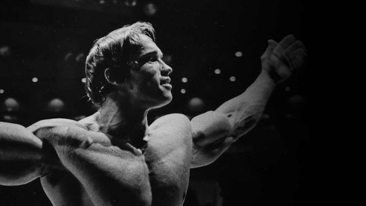 Arnold Schwarzenegger Body Wallpaper