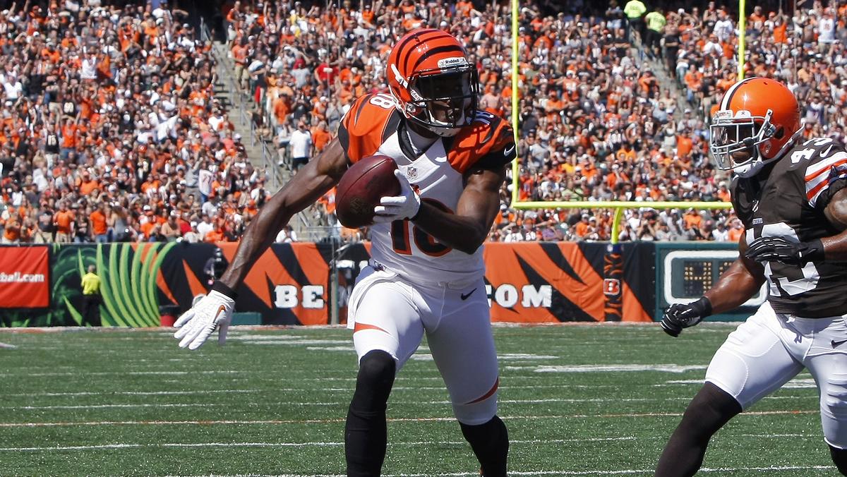 Bengals fans fall short in NFL fan loyalty study - Cincinnati Business ...